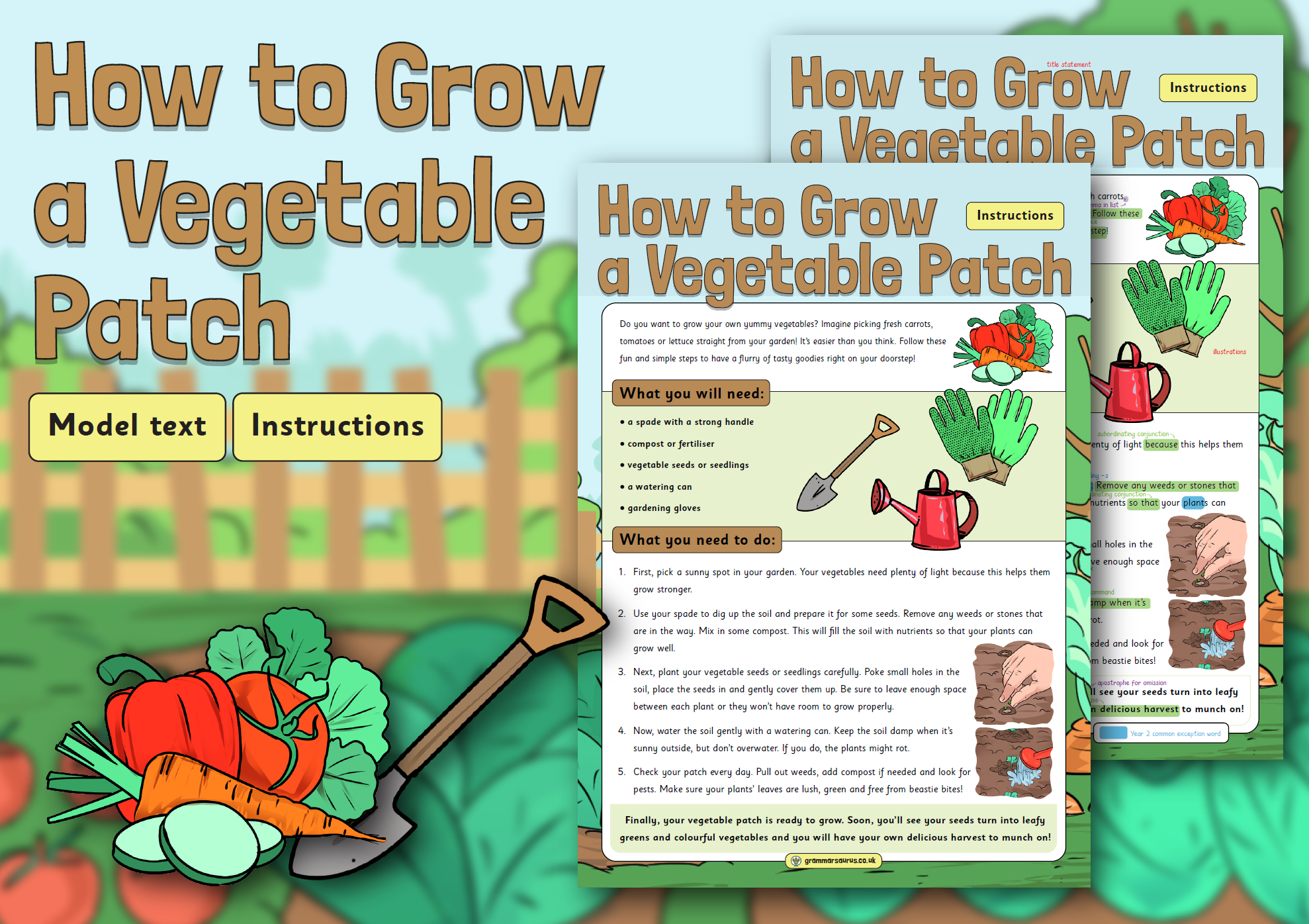 Year 2 Model Text – Instructions – How to grow a vegetable patch ...