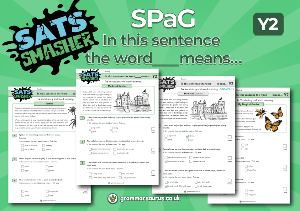 SPaG - Grammarsaurus