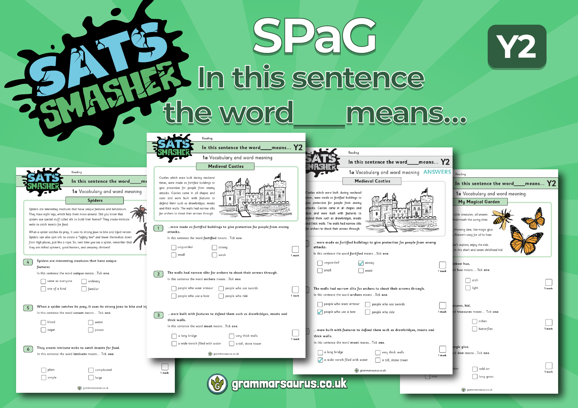 website advert - Grammarsaurus