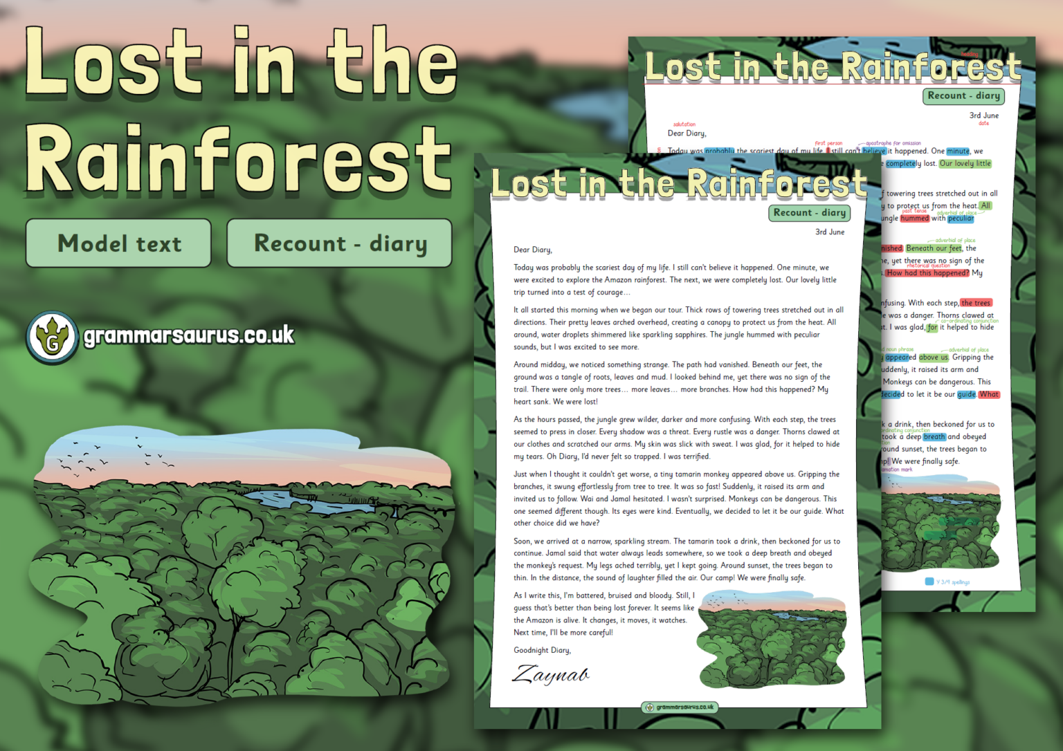 Year 3 Model Text – Recount – Diary – Lost in the Rainforest ...