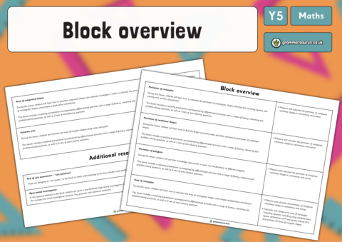 Year 5 Perimeter and Area - Block Overview - Grammarsaurus
