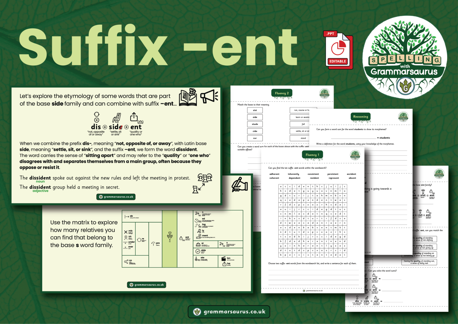 Y5 Objective 9 (Suffix -ent) - Grammarsaurus