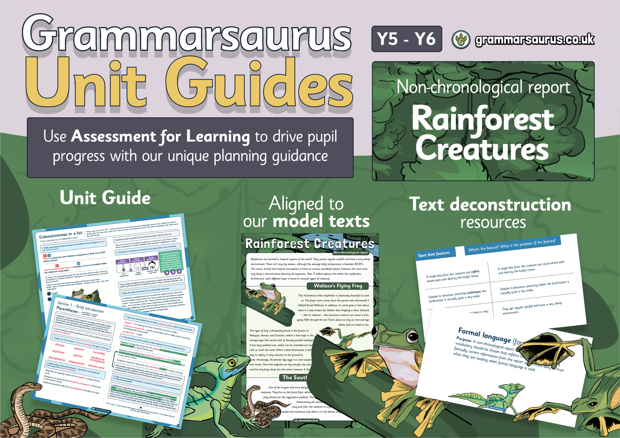 Year 5/6 Unit Guide – Non-chronological report - Rainforest creatures ...