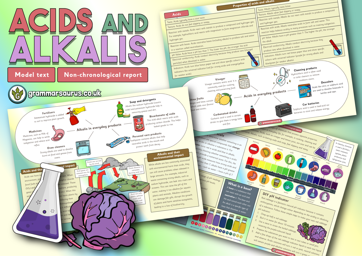 Year 7 Model Text– Non-chronological report - Acids and Alkalis ...