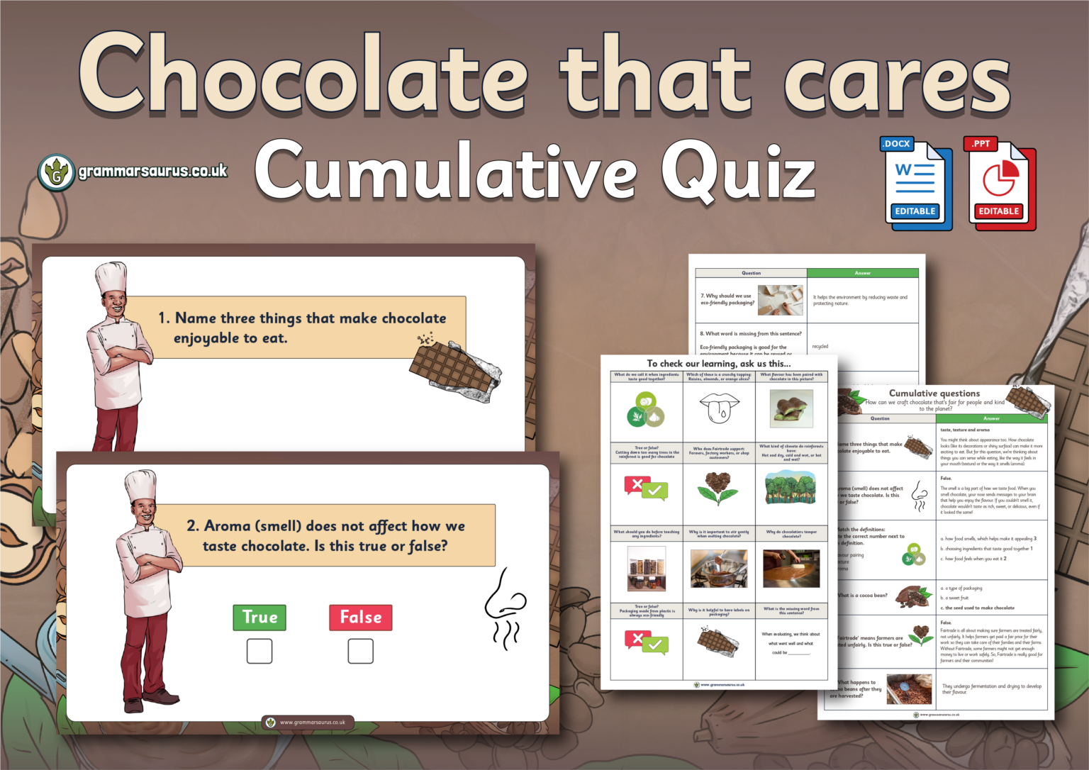 Year 4 – Chocolate that cares – Cumulative Quiz - Grammarsaurus