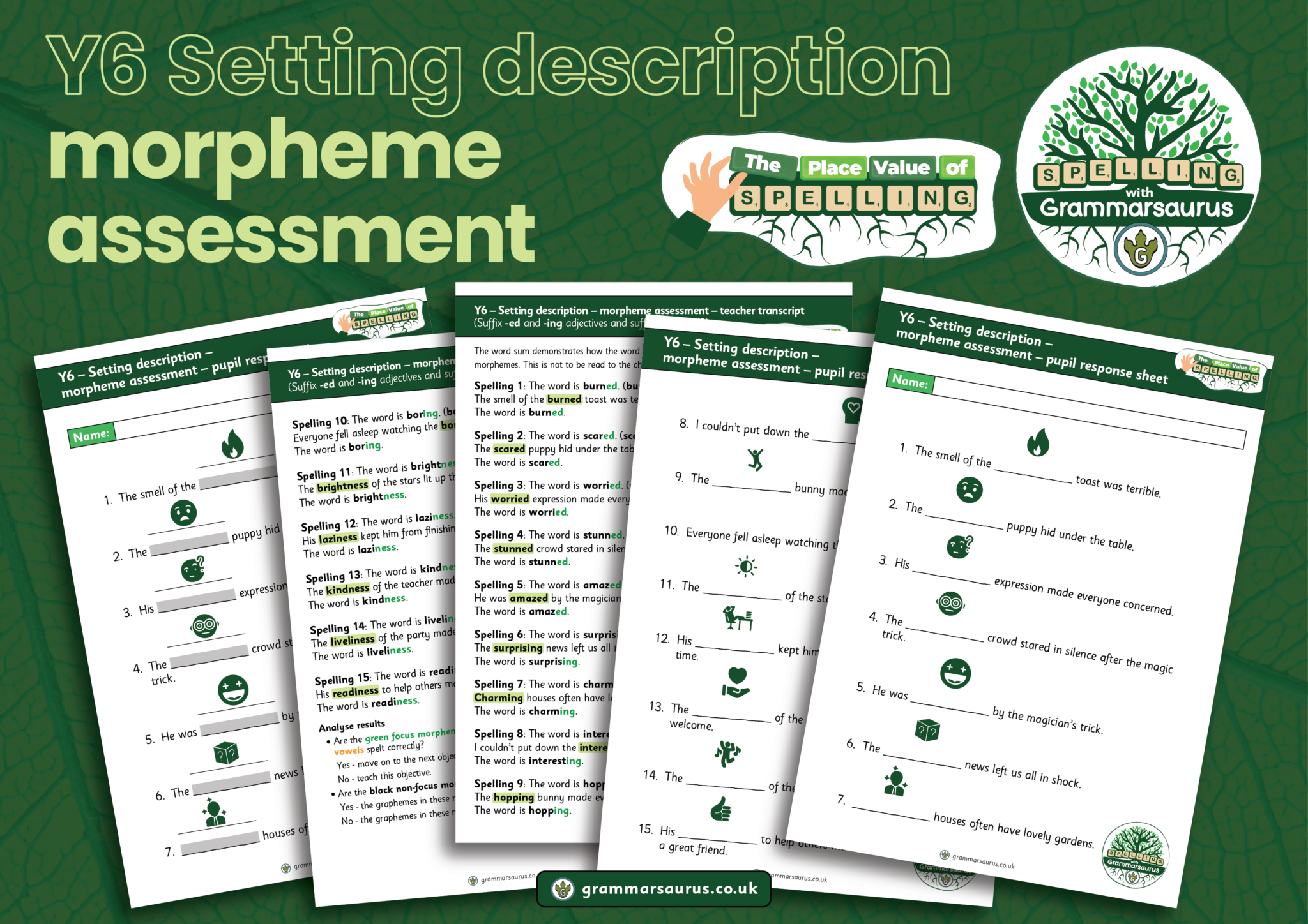 Y6 PVOS - Setting description - Morpheme assessment - Grammarsaurus