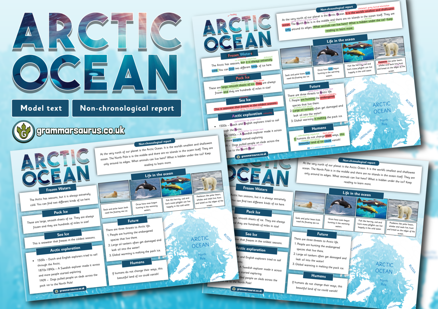 Year 2 Model Text – Non-chronological report – Arctic Ocean - Grammarsaurus
