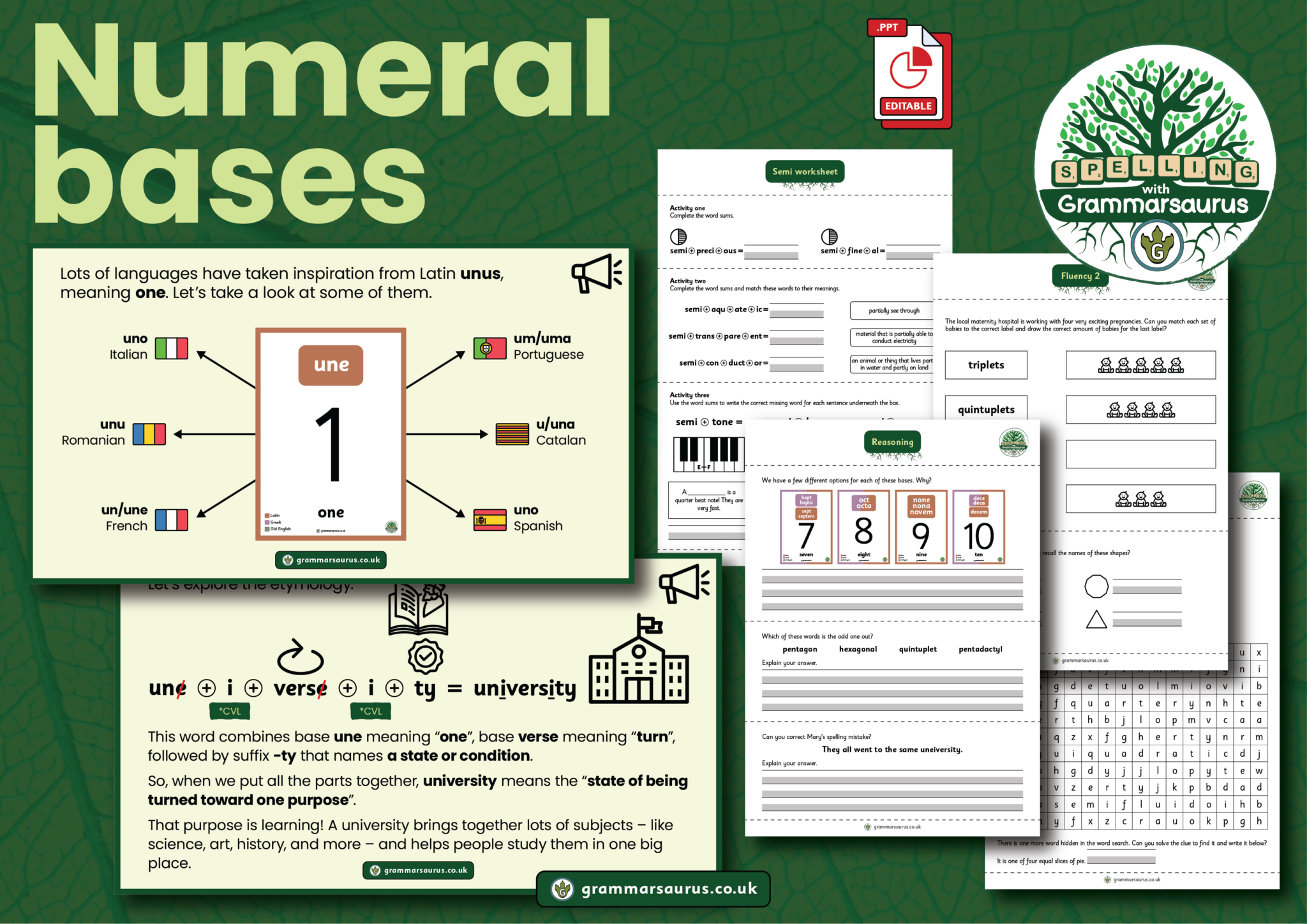 Y5 Objective 4 (Numeral bases) - Grammarsaurus