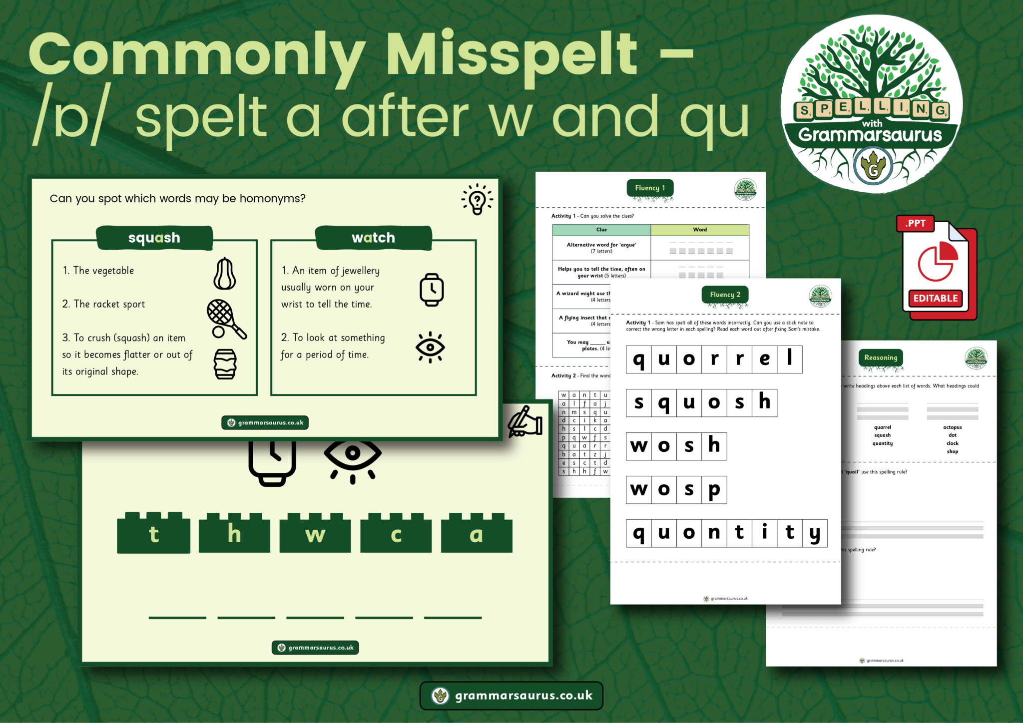Y2 commonly misspelt - /ɒ/ spelt a after w and qu - Grammarsaurus