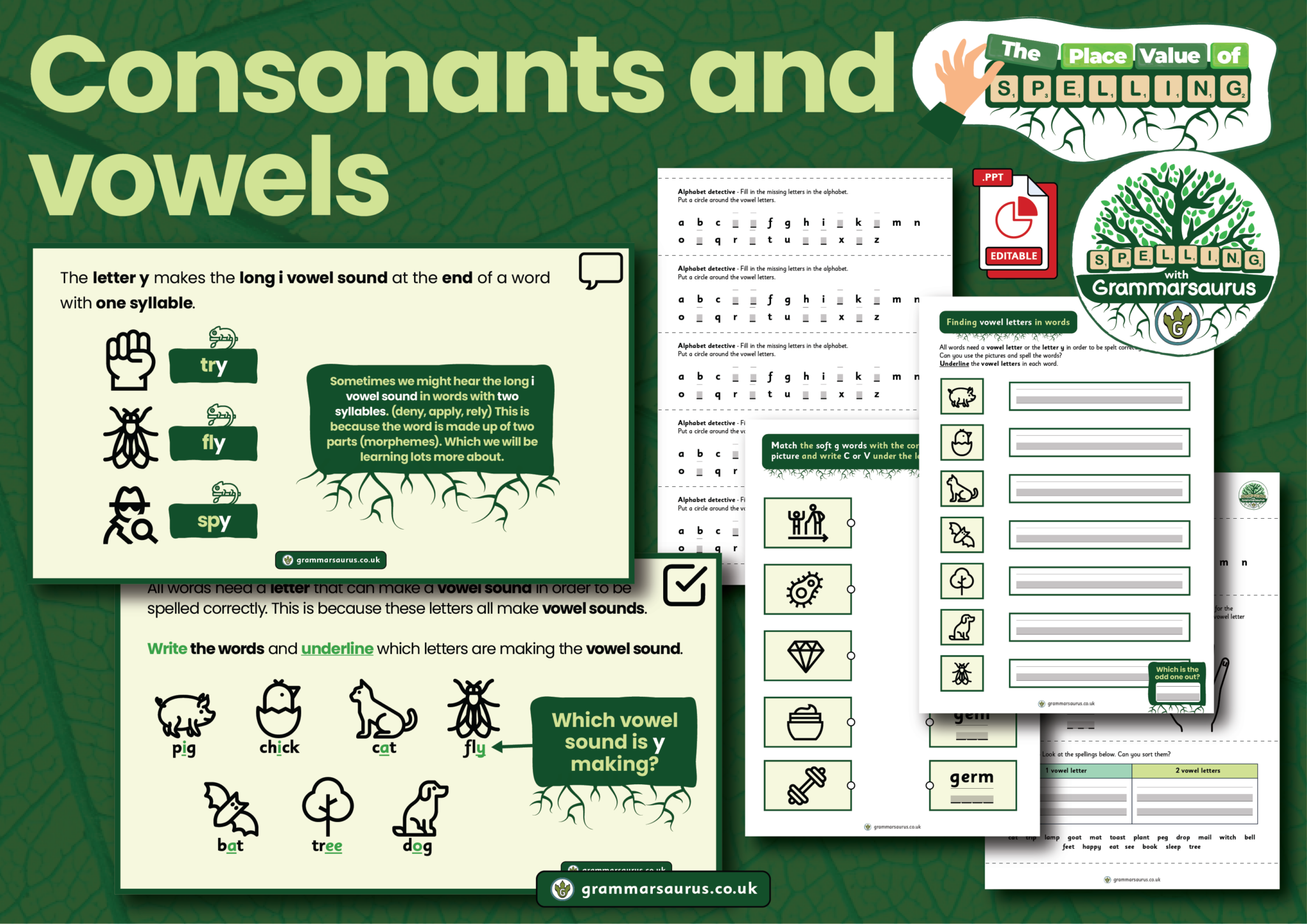 Y5 Objective 1 (Consonants and vowels) - Grammarsaurus