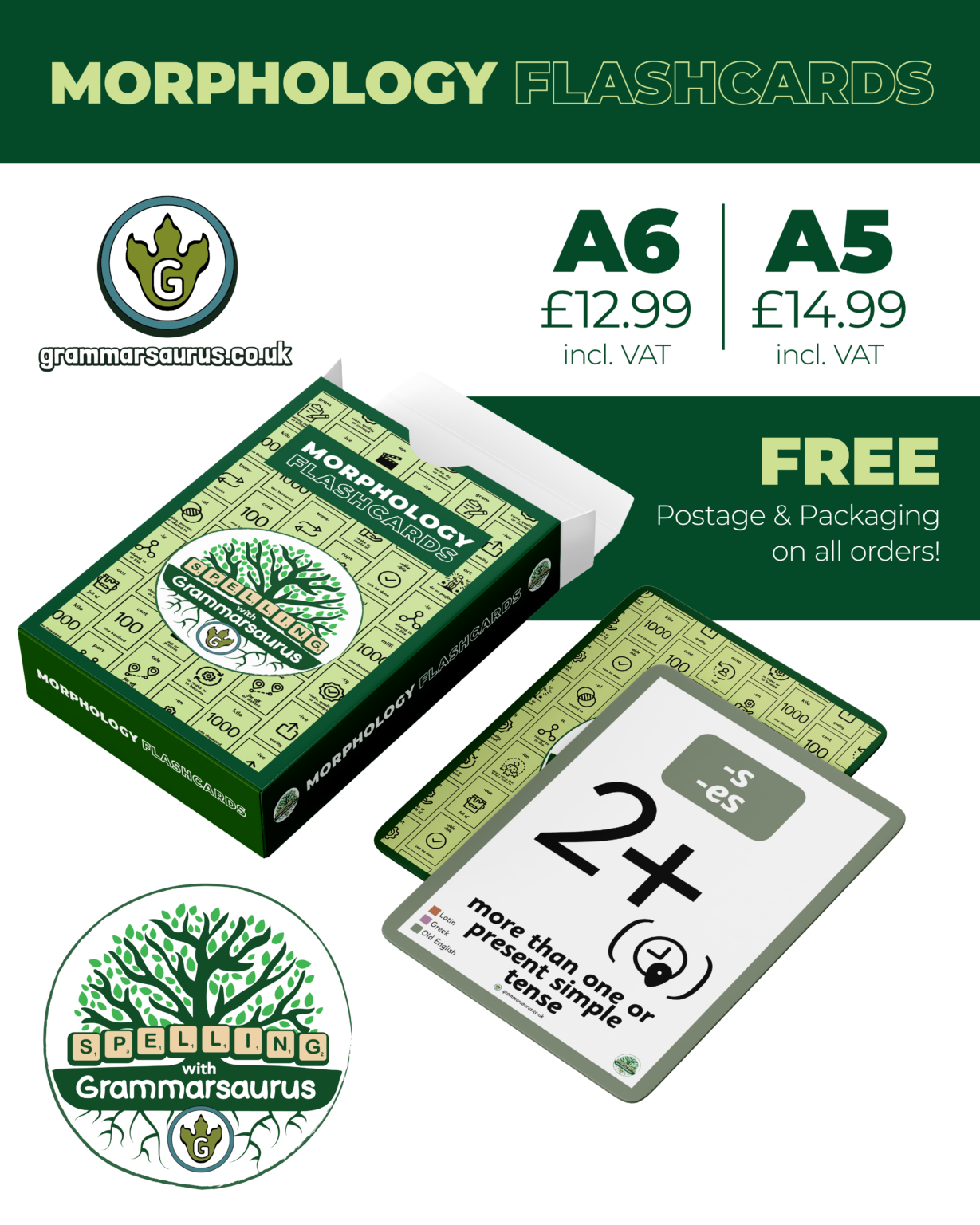 Morphology Flashcards A6 - Grammarsaurus