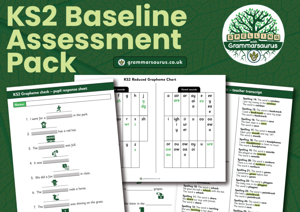 KS2 web assessment ad - Grammarsaurus