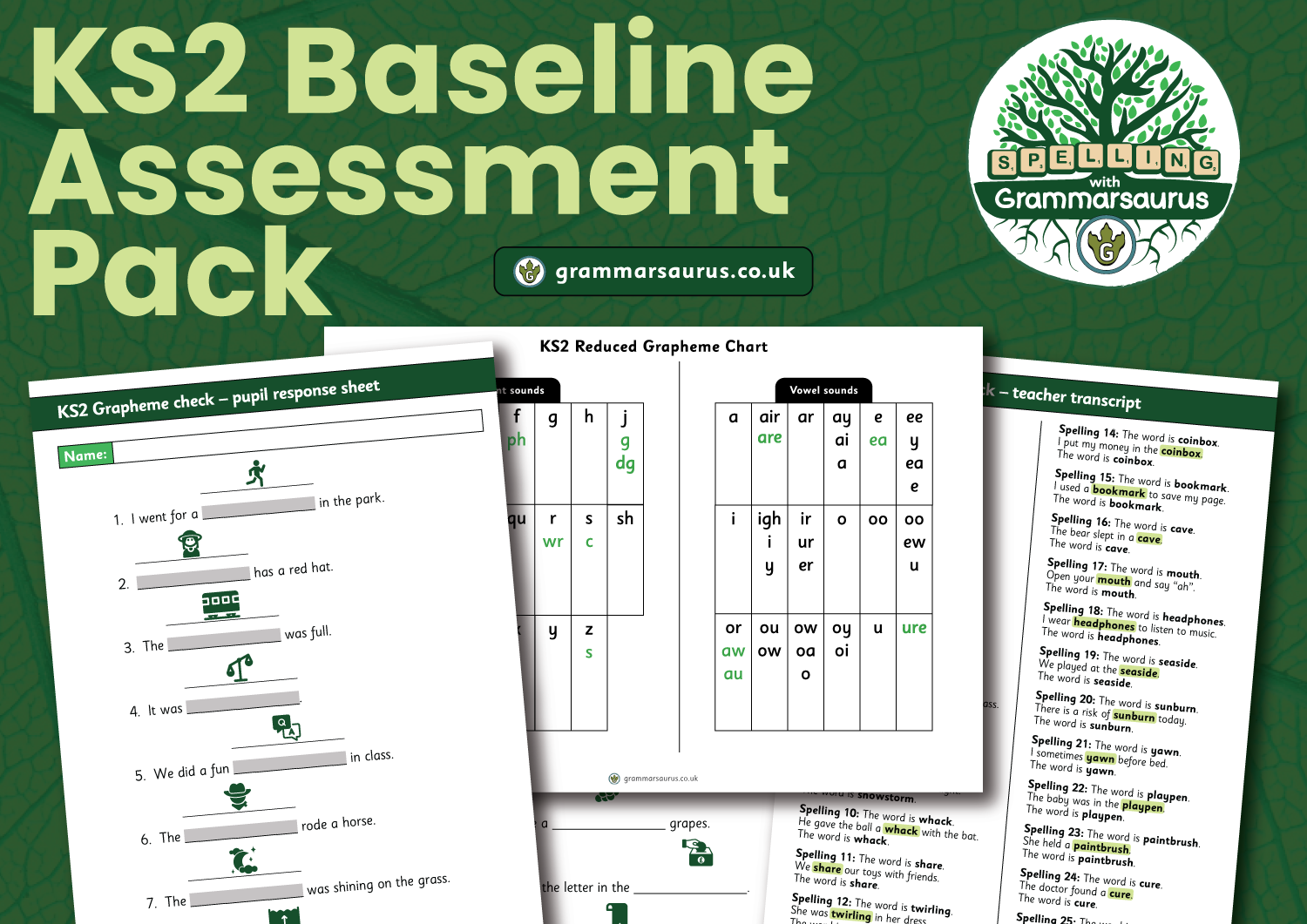 KS2 web assessment ad - Grammarsaurus