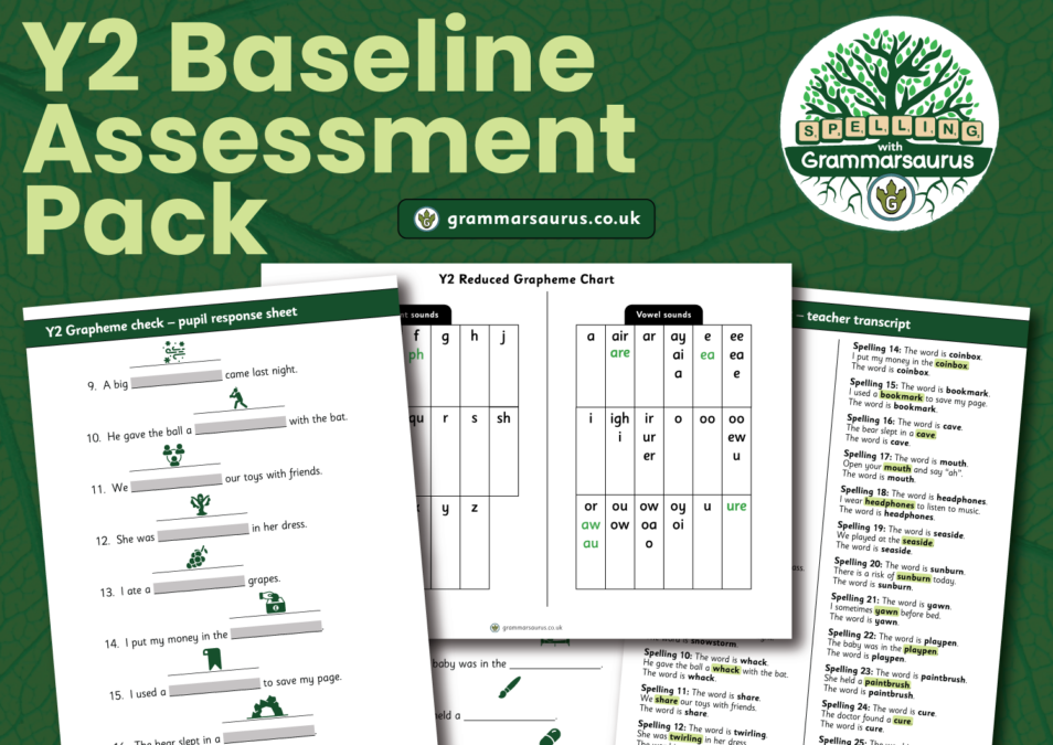 Y2 - Baseline Assessment Pack - Grammarsaurus