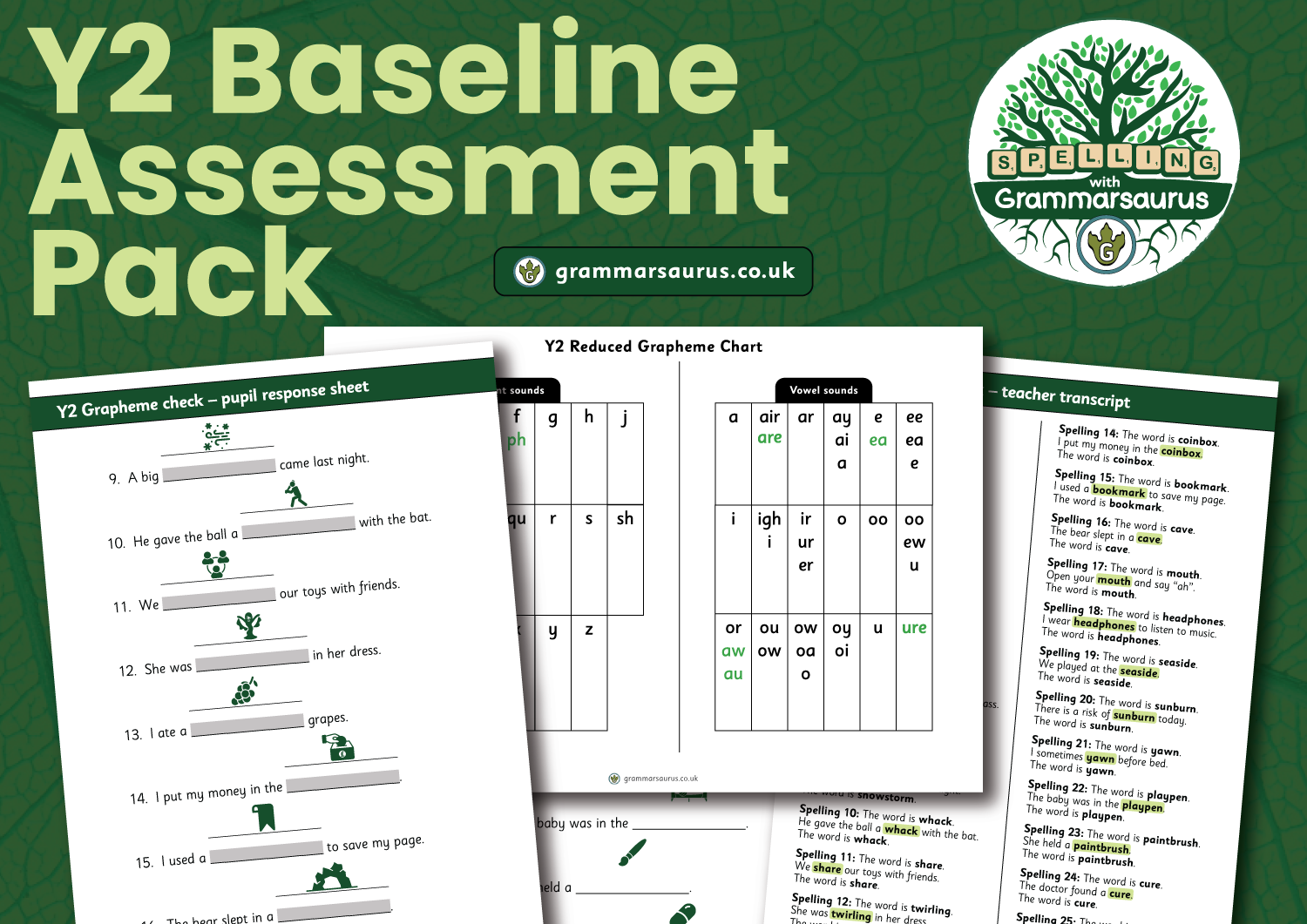 Y2 - Baseline Assessment Pack - Grammarsaurus