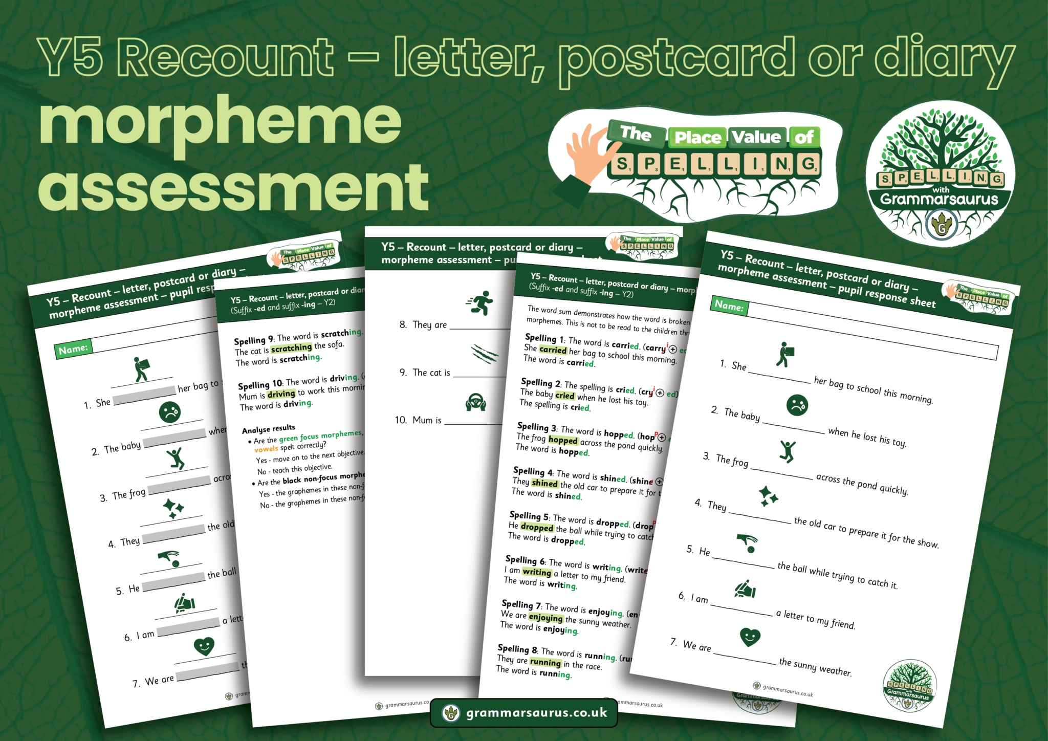Y5 PVOS - Recount - letter, postcard or diary - Morpheme assessment ...