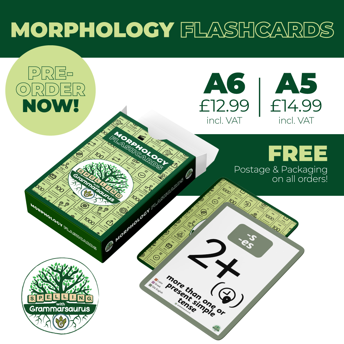 (Pre-order) Morphology Flashcards A6 - Grammarsaurus