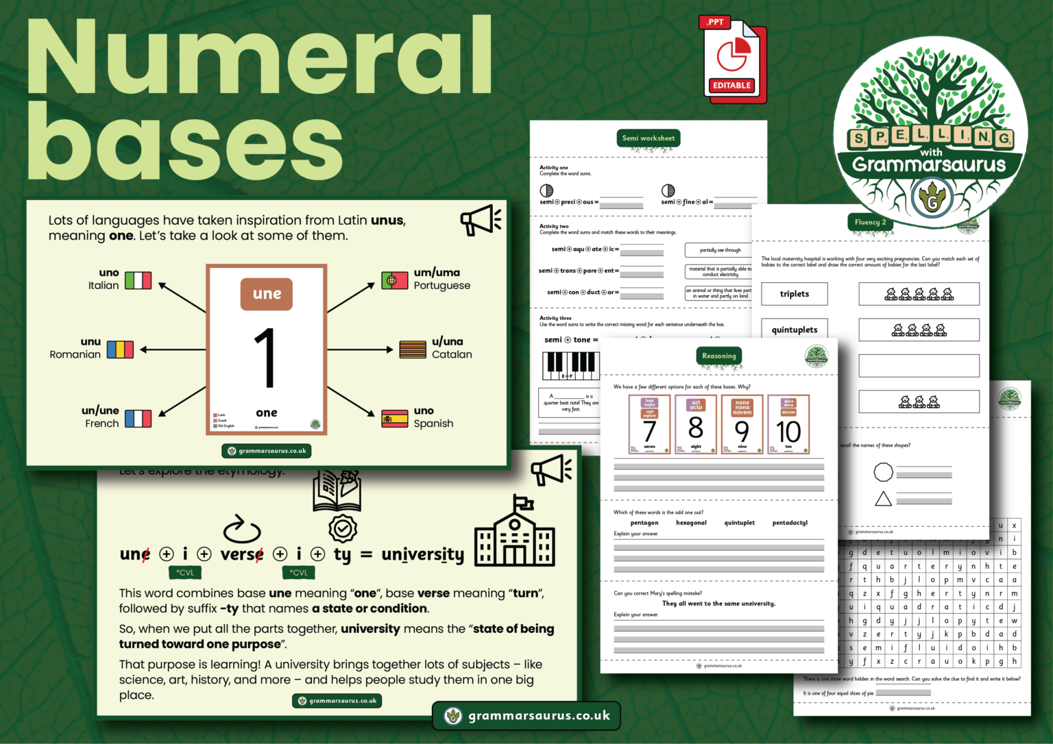 Y5 Objective 4 (Numeral bases) - Grammarsaurus