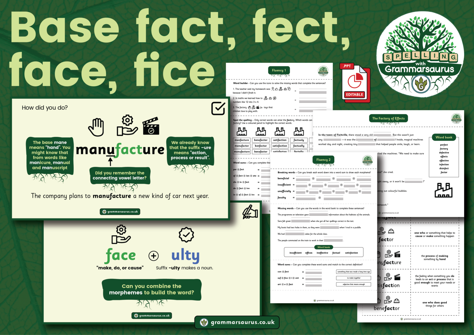 Y5 Objective 6 (Base fact, fect, face, fice) - Grammarsaurus