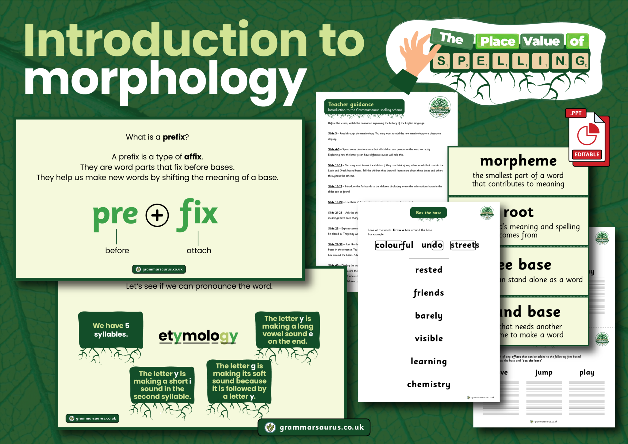 Y5 Objective 3 (Introduction to Morphology) - Grammarsaurus