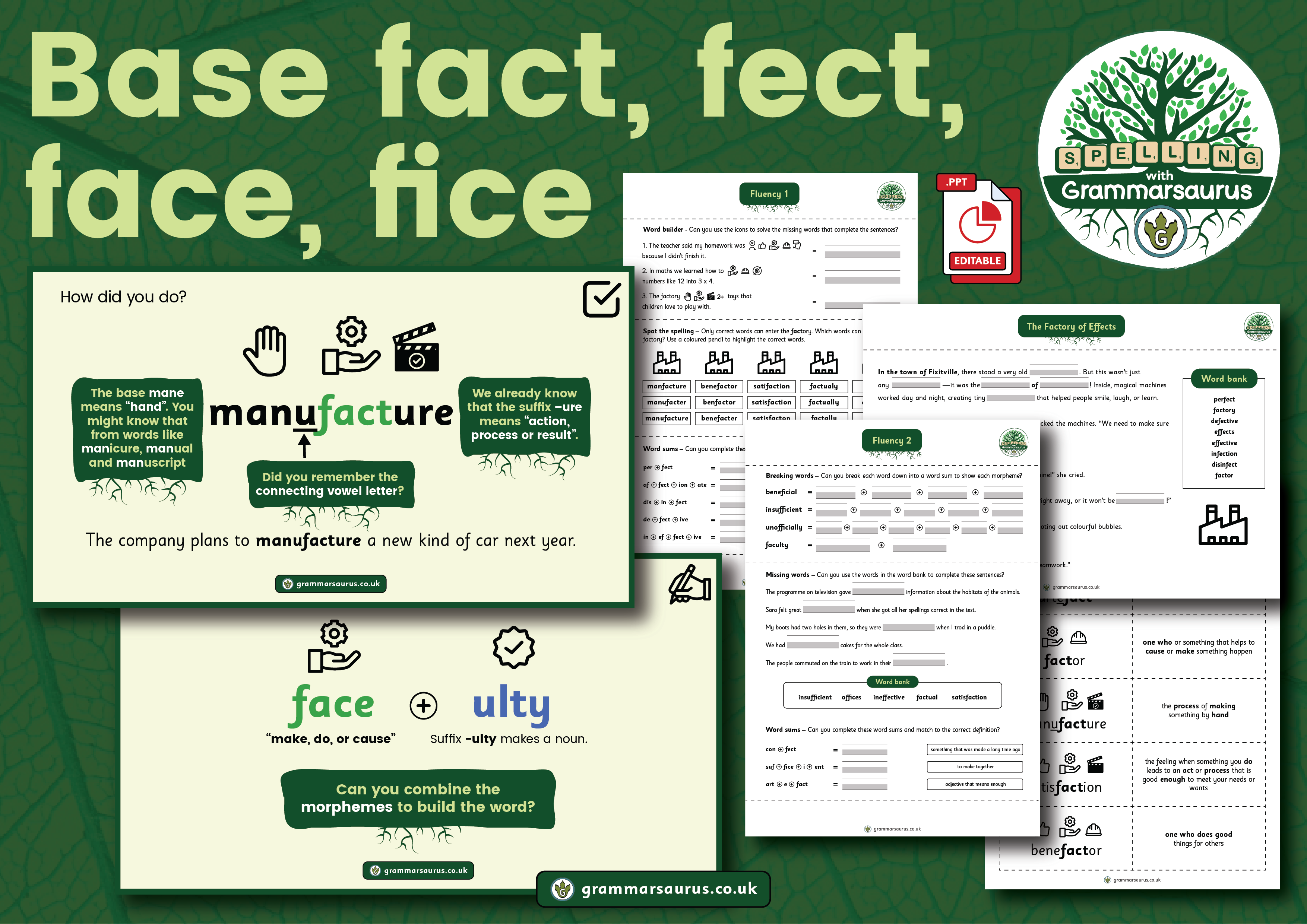 Y5 Objective 6 (Base fact, fect, face, fice) - Grammarsaurus
