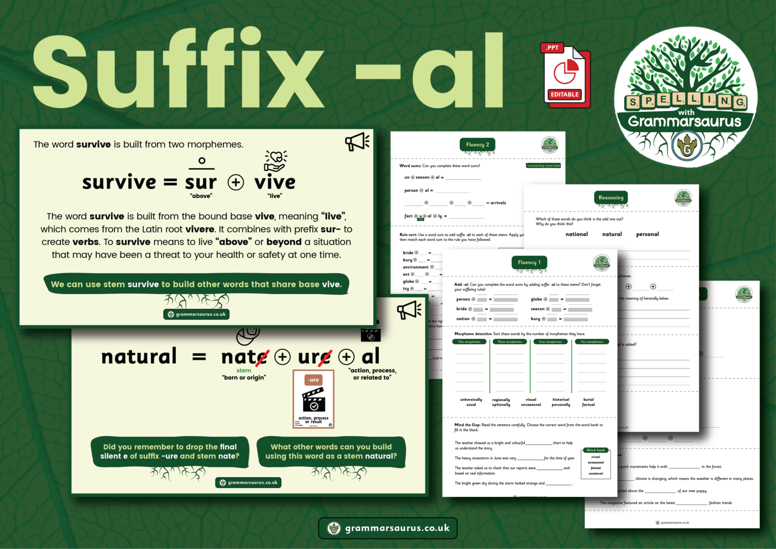 Y4 objective 13 (Suffix -al) - Grammarsaurus