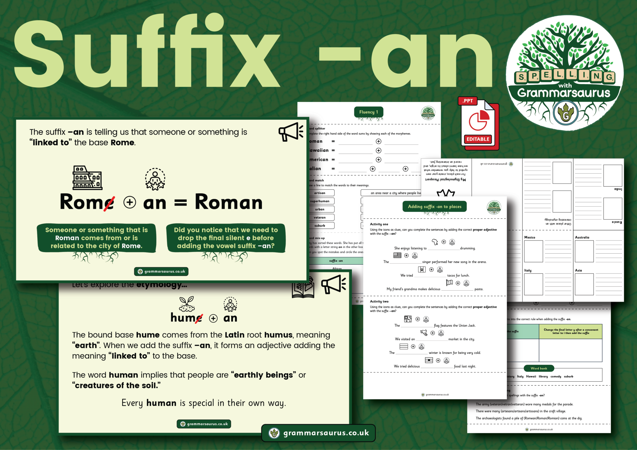 Y3 Objective 10 (Suffix -an) - Grammarsaurus