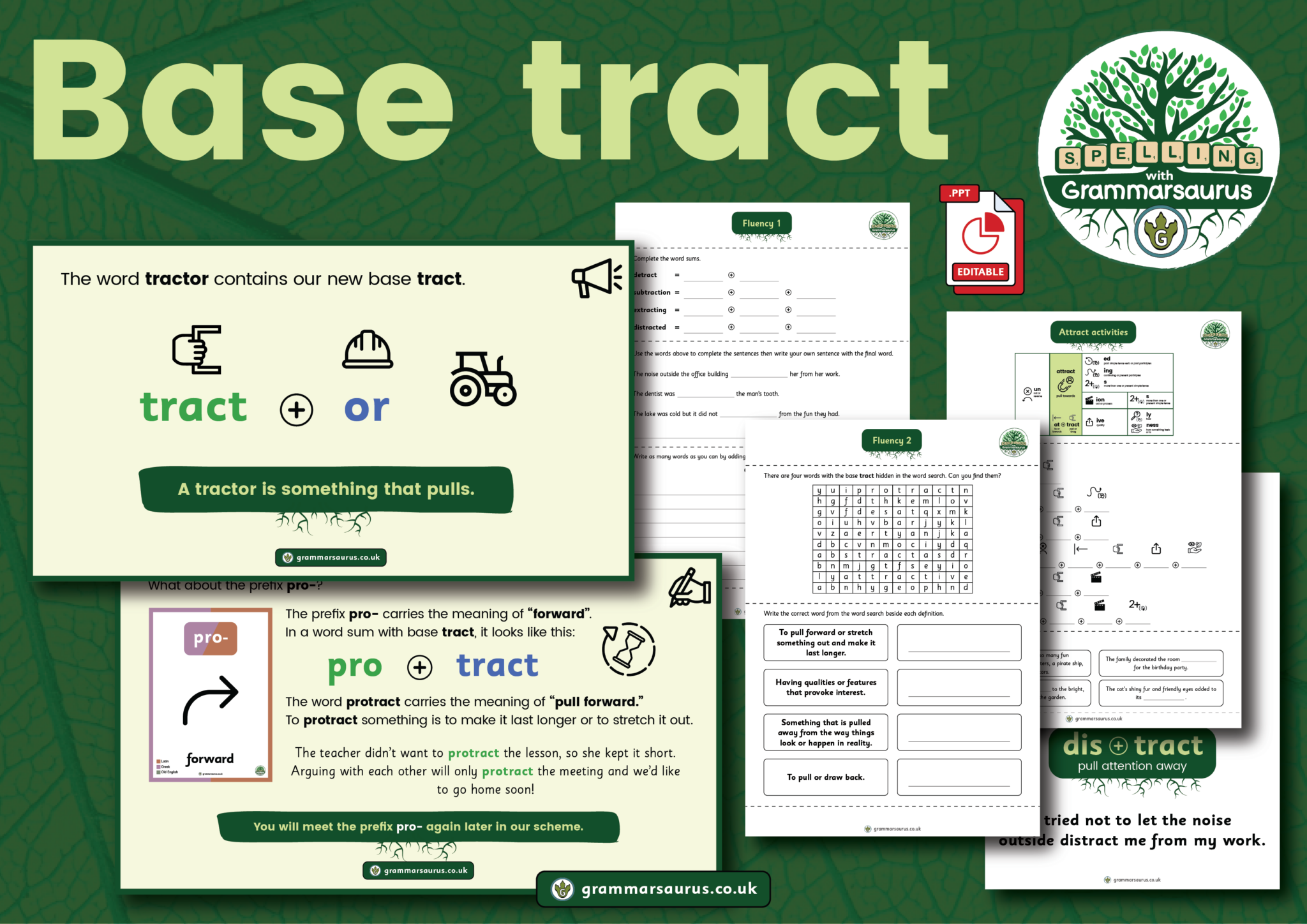Y4 Objective 7 (Base Tract) - Grammarsaurus