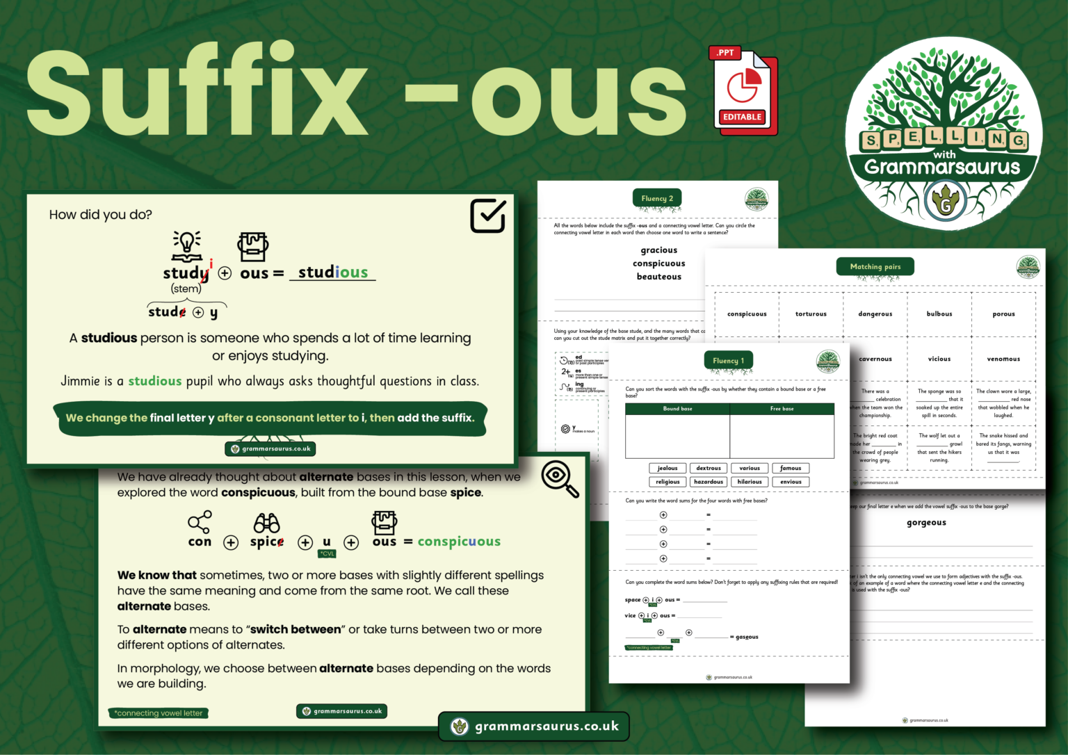 Y4 Objective 4 (Suffix -ous) - Grammarsaurus