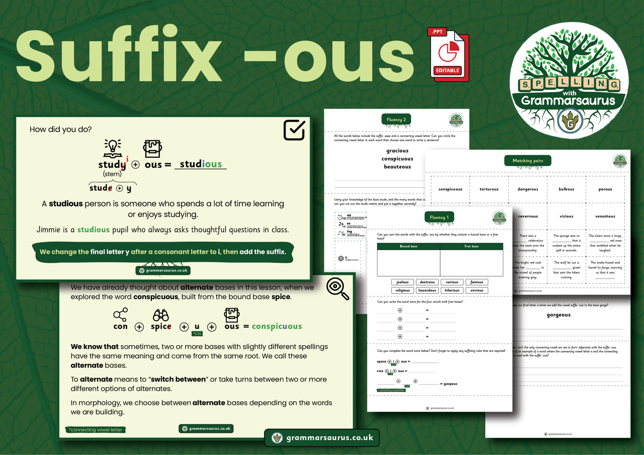 Y4 Objective 4 (Suffix -ous) - Grammarsaurus