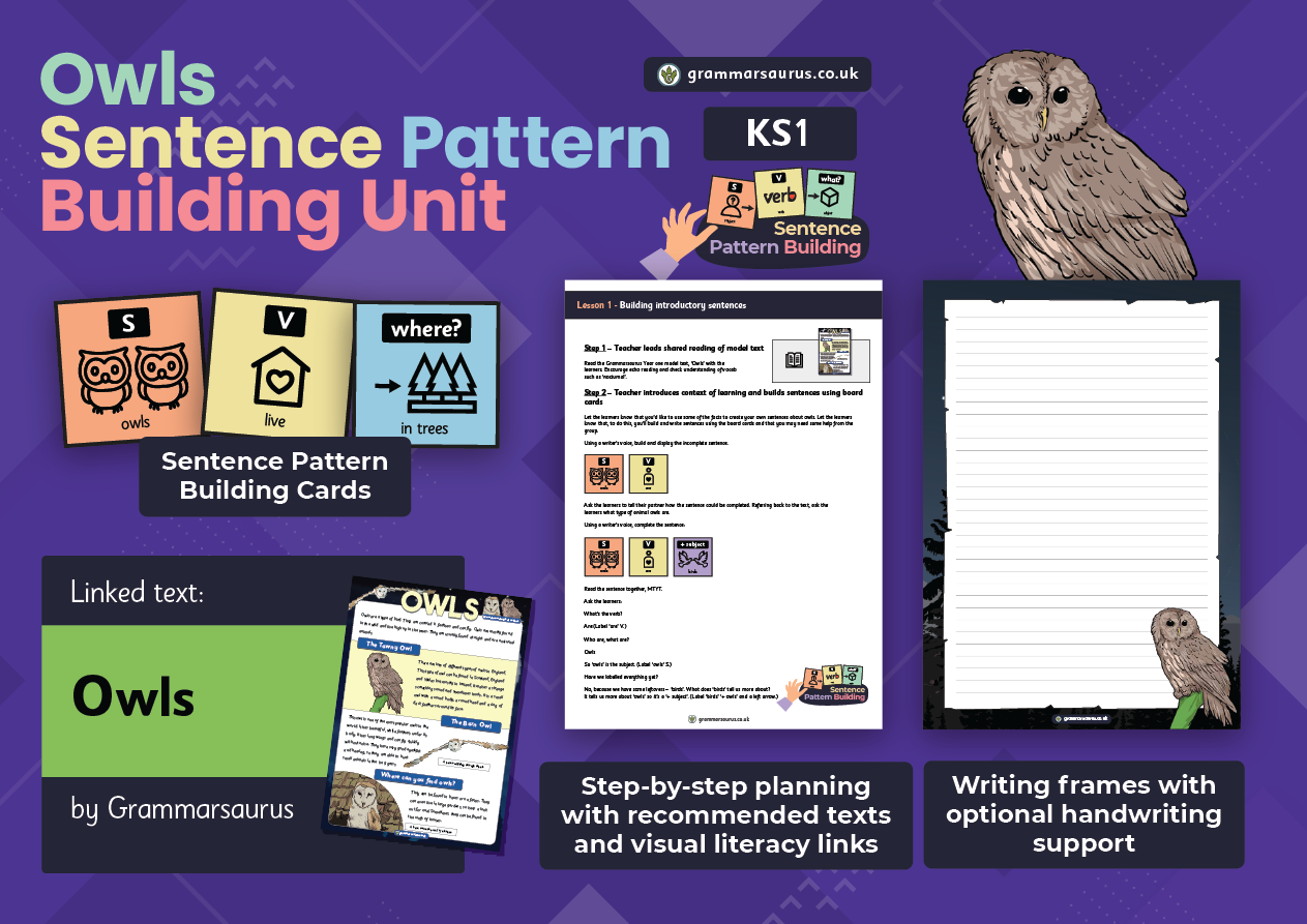 web ad - Grammarsaurus