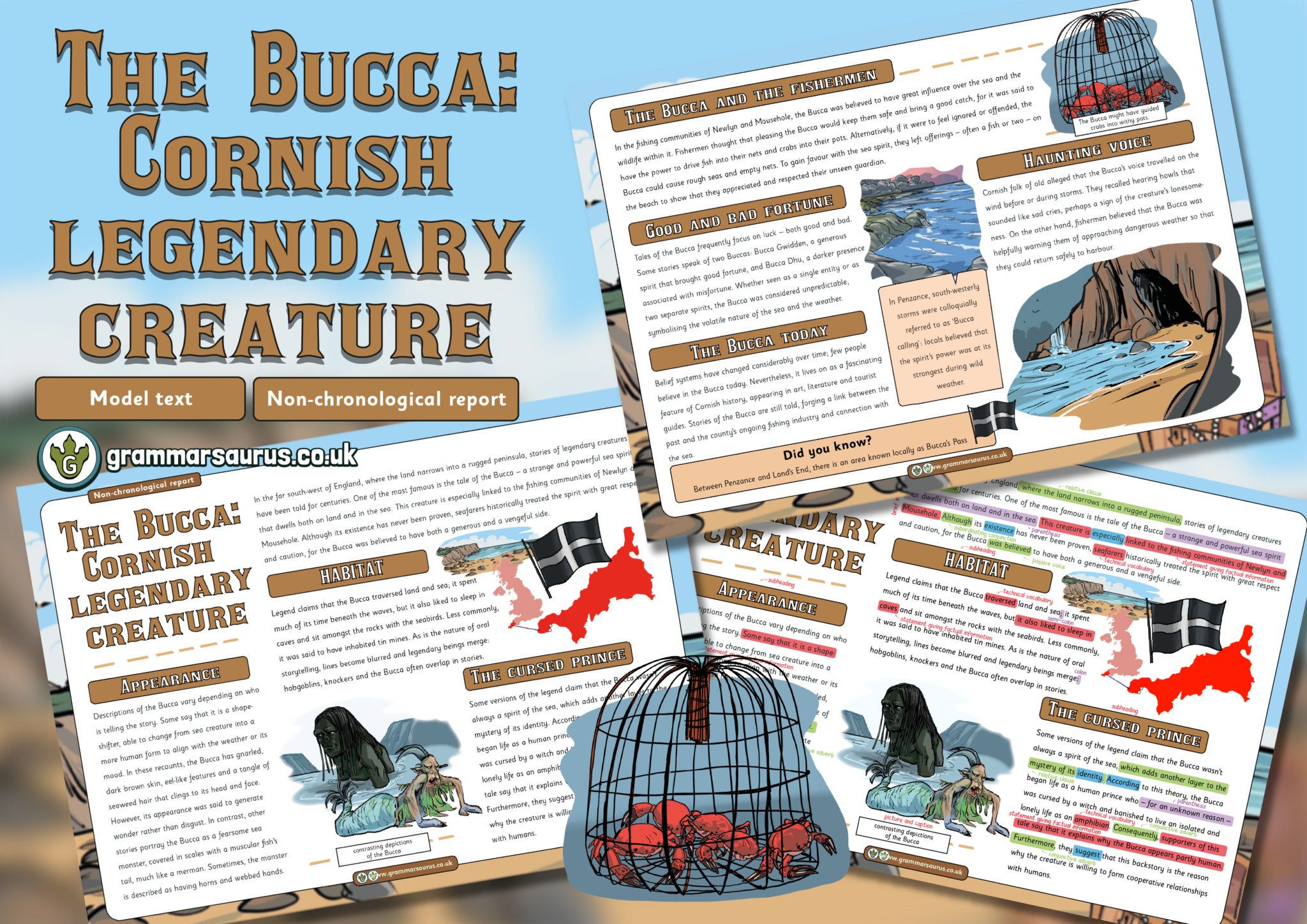 Year 6 Model Text – Non-chronological report – The Bucca: Cornish ...