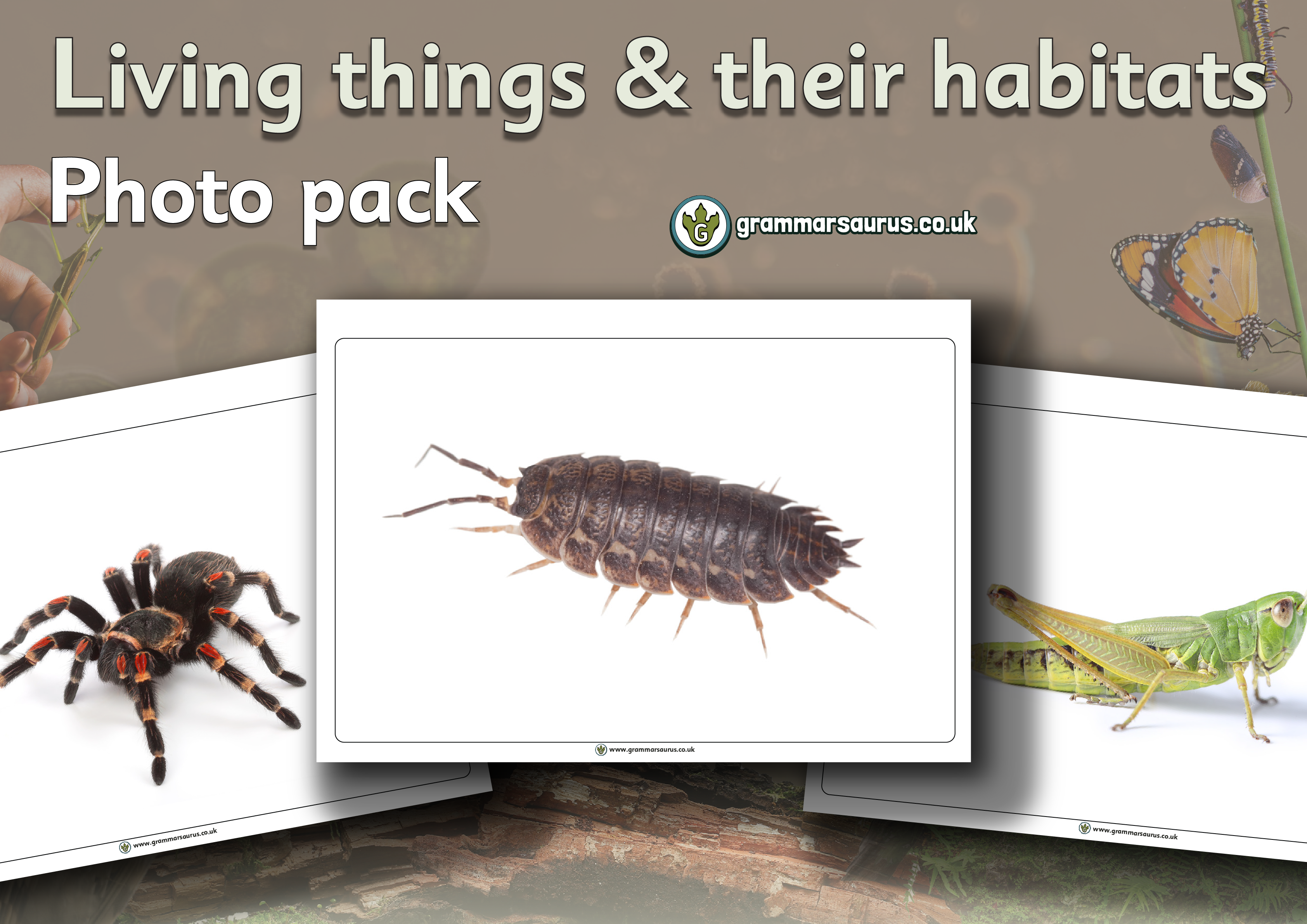 Year 6 Science - Living things and their habitats – Photo pack ...