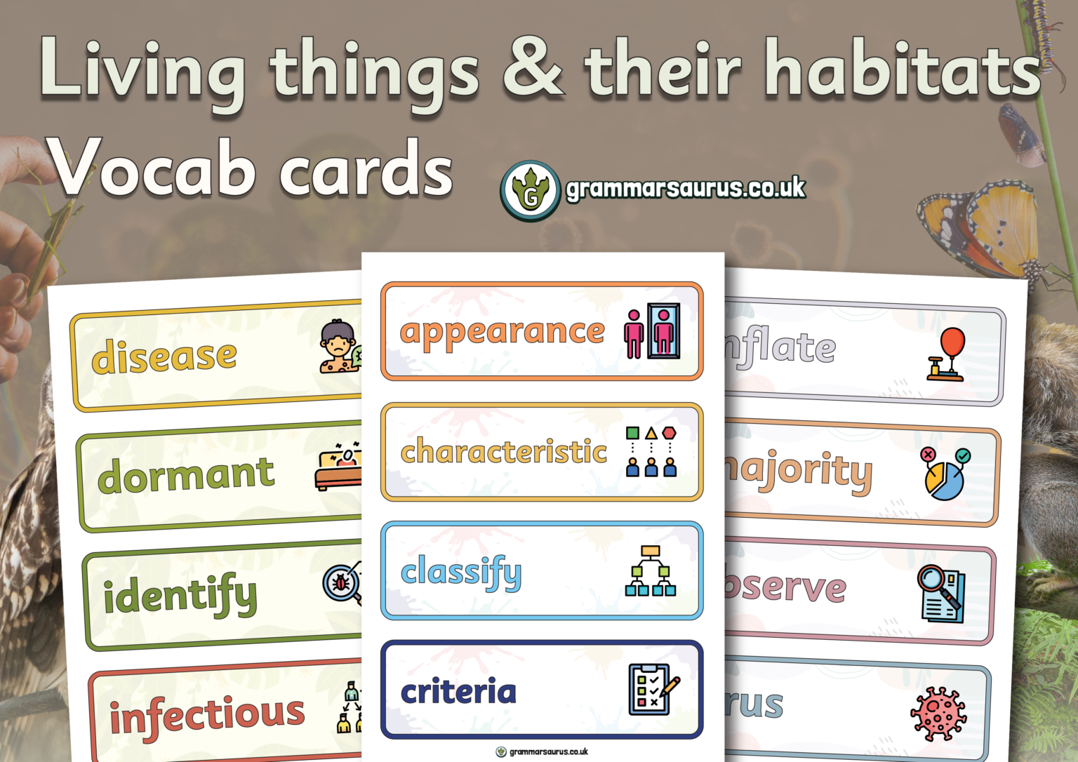 Year 6 Science - Living things and their habitats – Vocab cards ...
