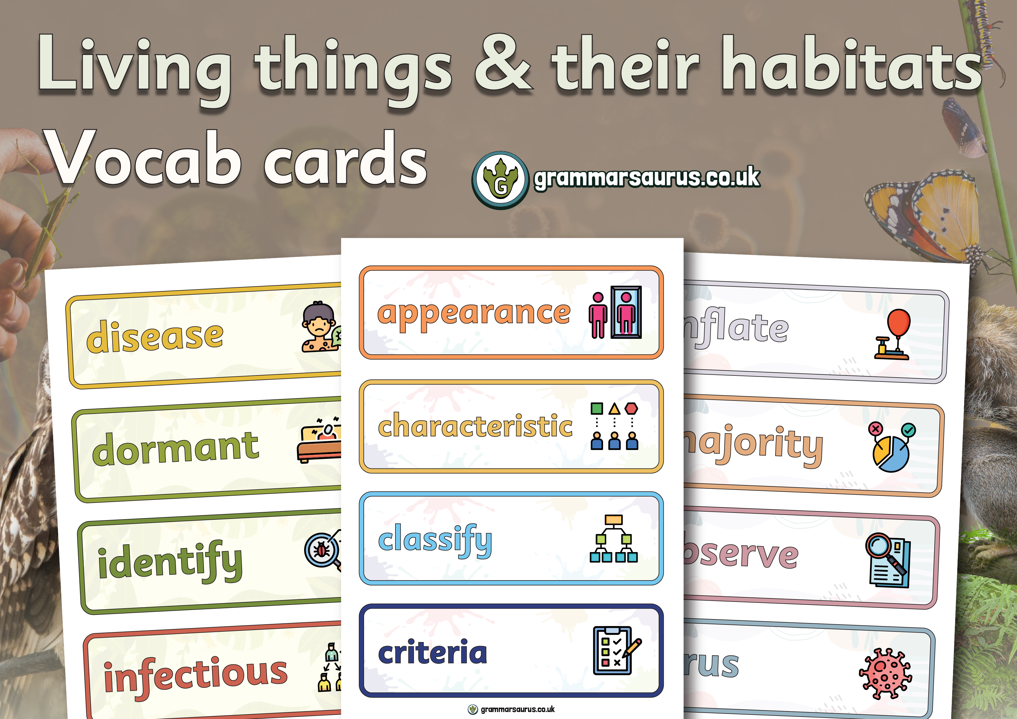Year 6 Science - Living things and their habitats – Vocab cards ...