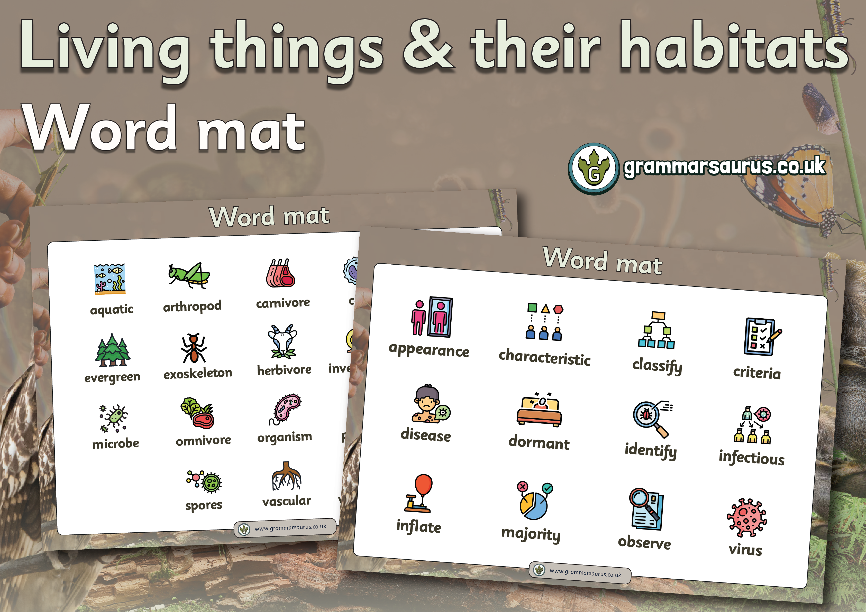 Year 6 Science - Living things and their habitats – Word mat ...