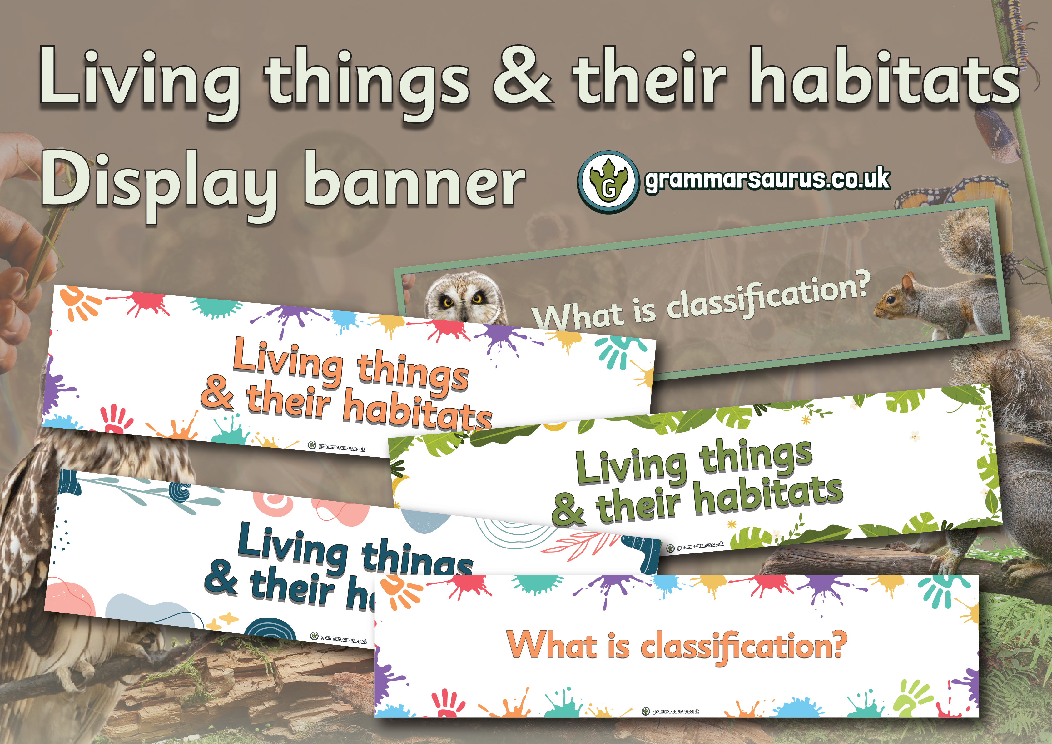 Year 6 Science - Living things and their habitats – Display banner ...