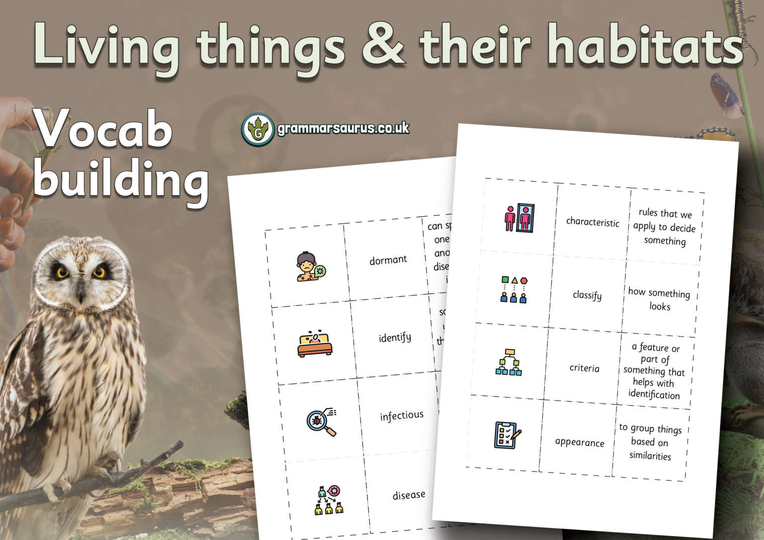Year 6 Science - Living things and their habitats – Vocab building ...