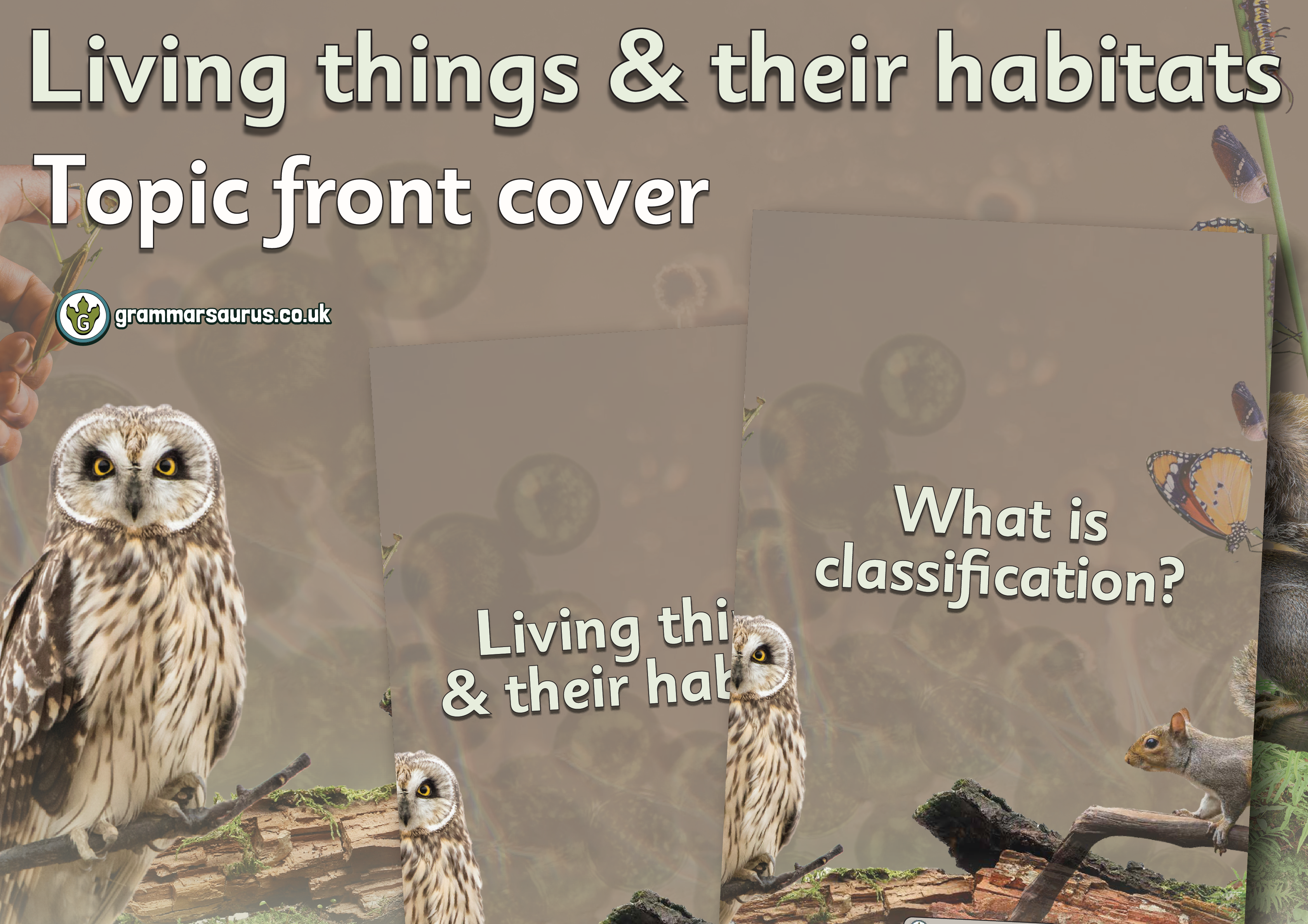 Year 6 Science - Living things and their habitats – - Grammarsaurus