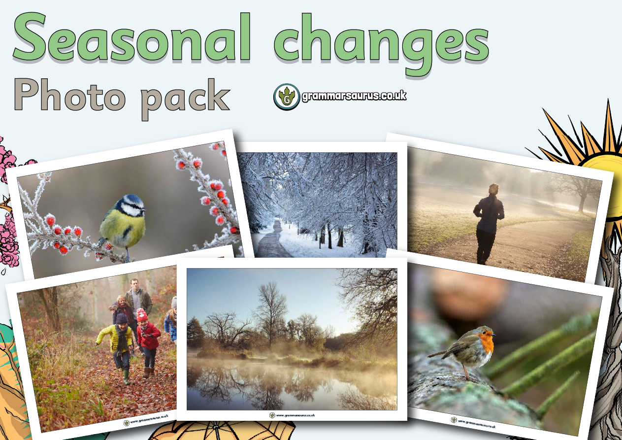 photo pack ad - Grammarsaurus