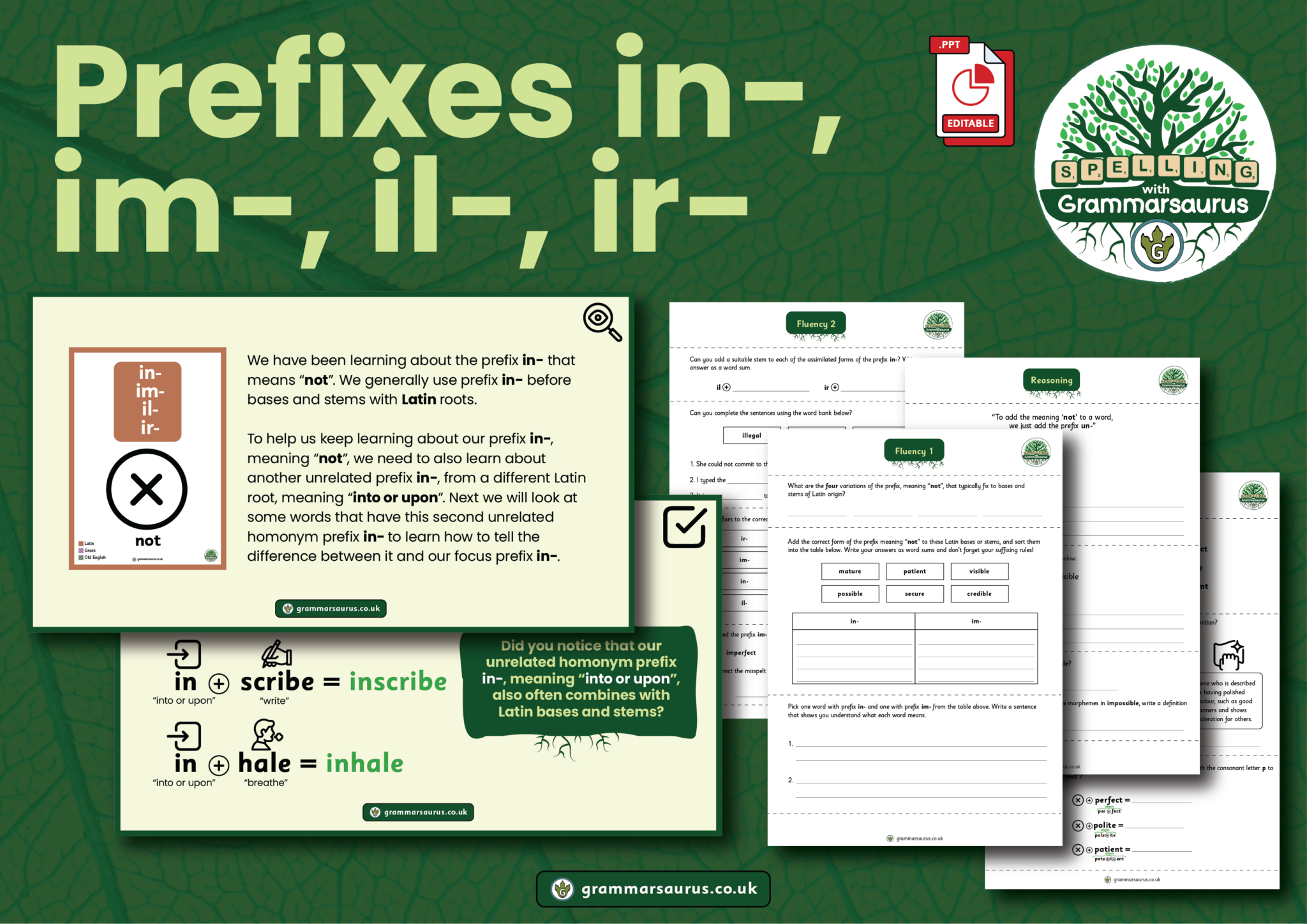 Y3 objective 21 (Prefix in-, im-, il-, ir- ) - Grammarsaurus