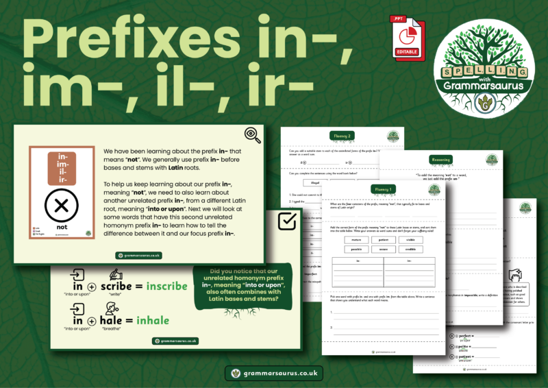 Y3 objective 21 (Prefix in-, im-, il-, ir- ) - Grammarsaurus