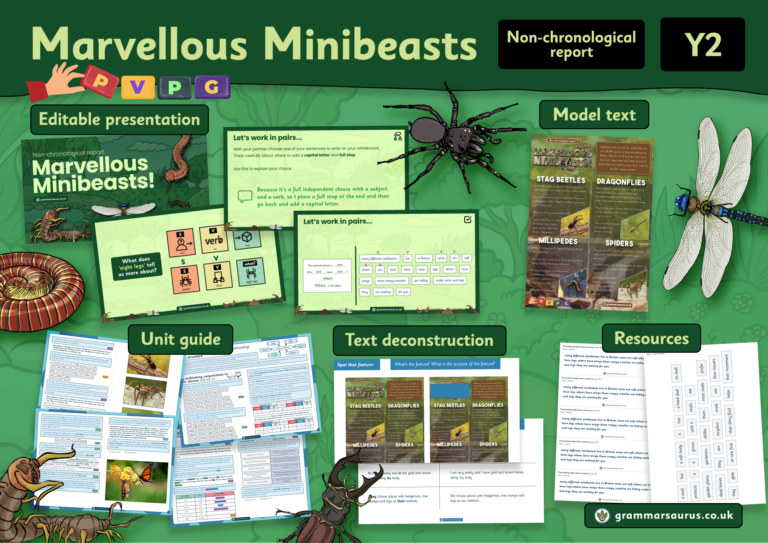 Year 2 PVPG Application Unit Guide – Non-chronological report ...