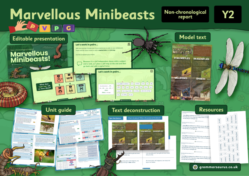 Year 2 PVPG Application Unit Guide – Non-chronological report ...