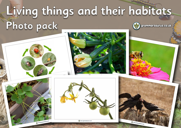 Year 5 - Living things and their habitats - Photo pack - Grammarsaurus