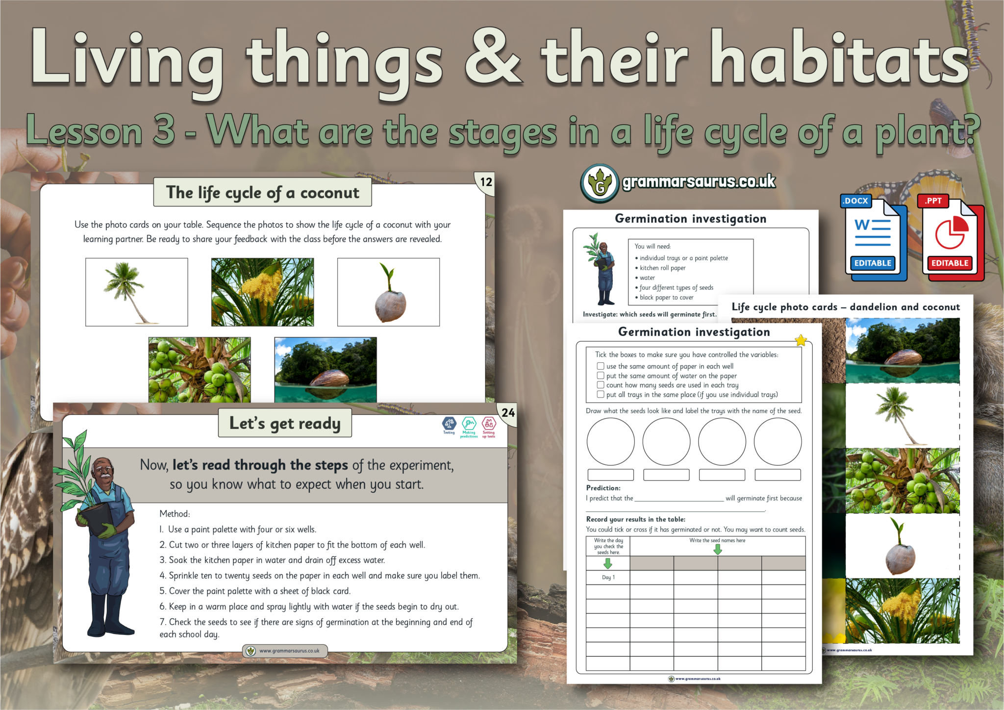 Year 5 Science - Living things and their habitats - What are the stages ...