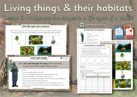 Year 5 Science - Living things and their habitats - What are the stages ...