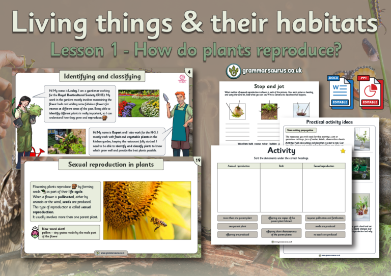 Year 5 Science - Living things and their habitats - How do plants ...