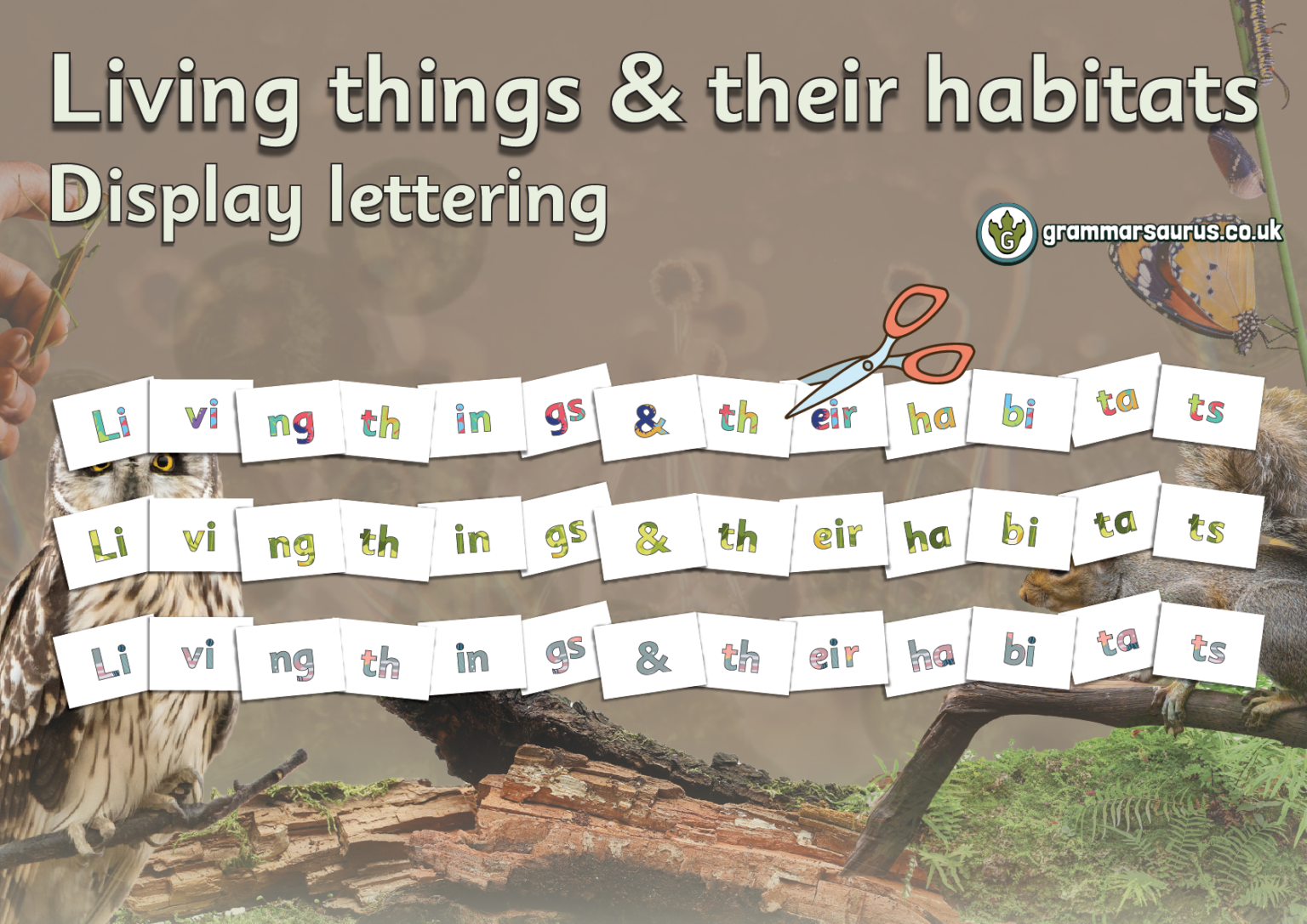 Year 5 - Living things and their habitats - Display lettering ...