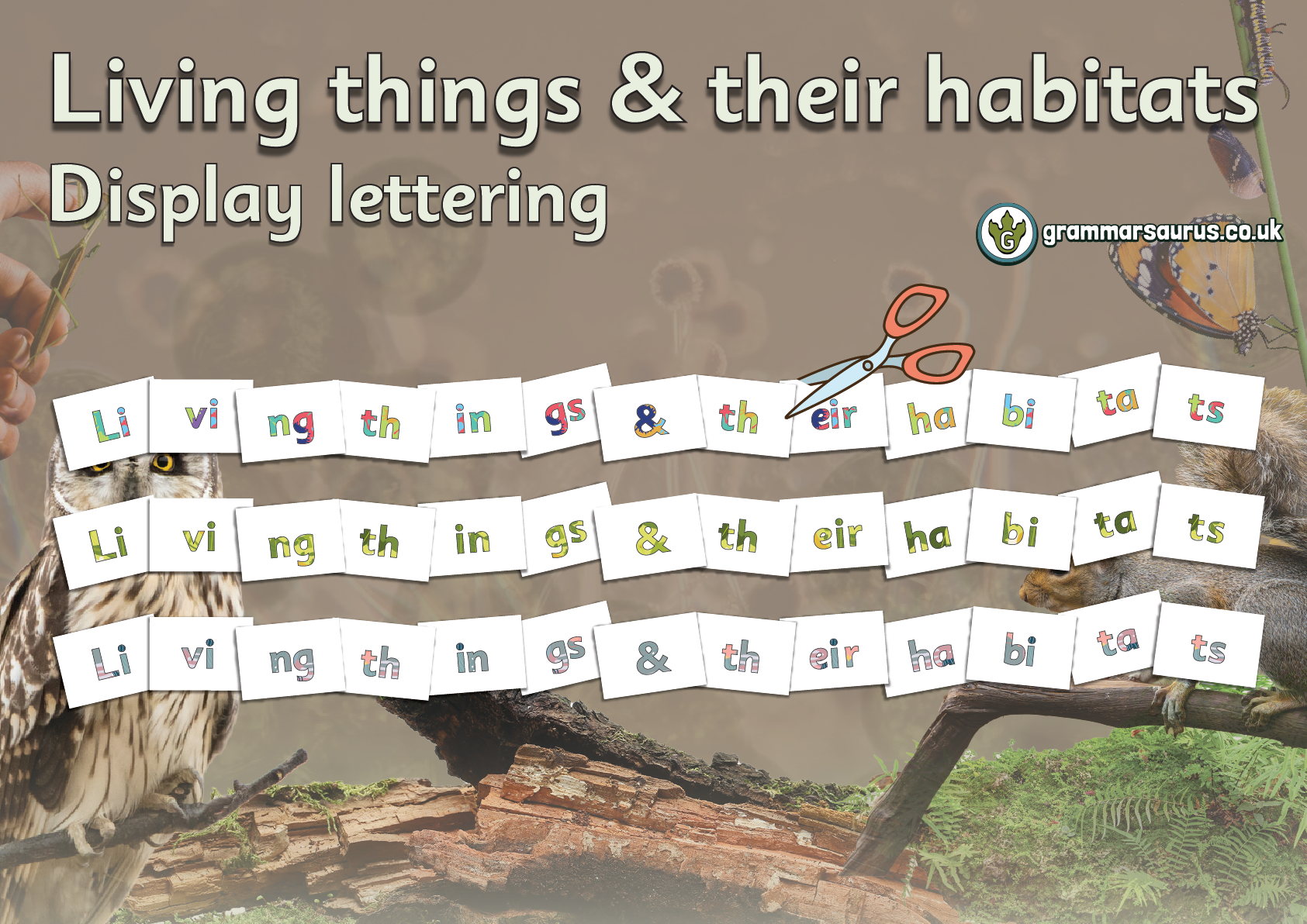 Year 5 - Living things and their habitats - Display lettering - Grammarsaurus